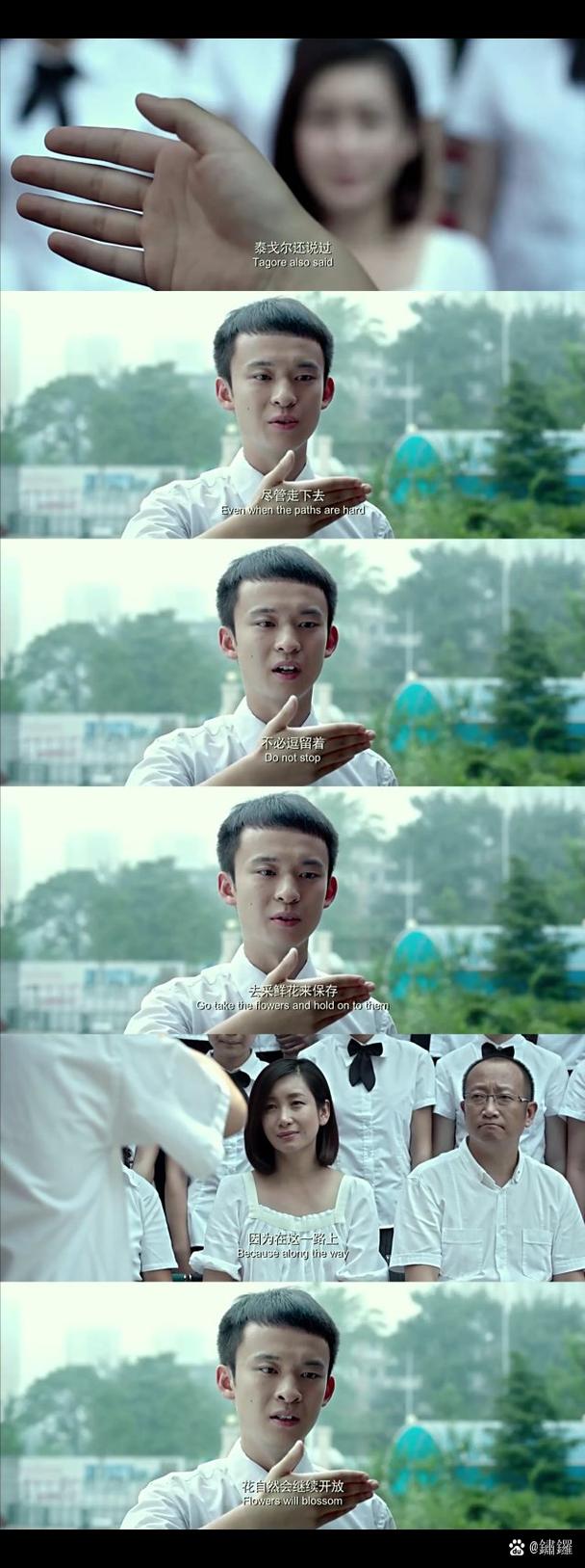 青春派网赚