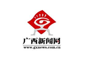 广西新闻网壮观客截图