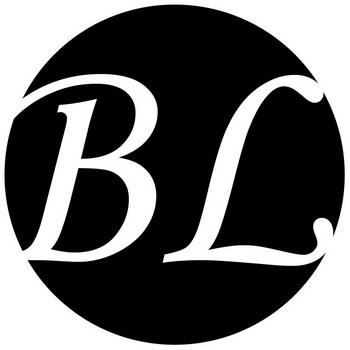 BL彼尔链交易所图标