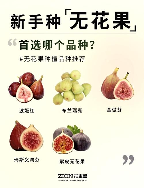 果树世界分红官网截图