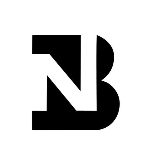 BNT挖矿手机版图标