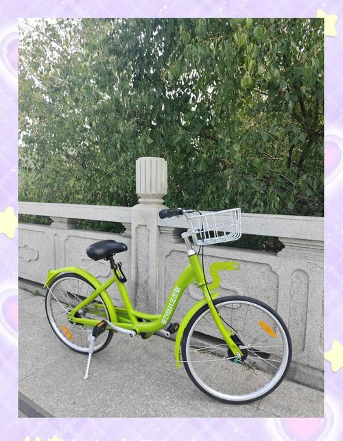 嵊泗公共自行车(公共自行车共享平台)截图