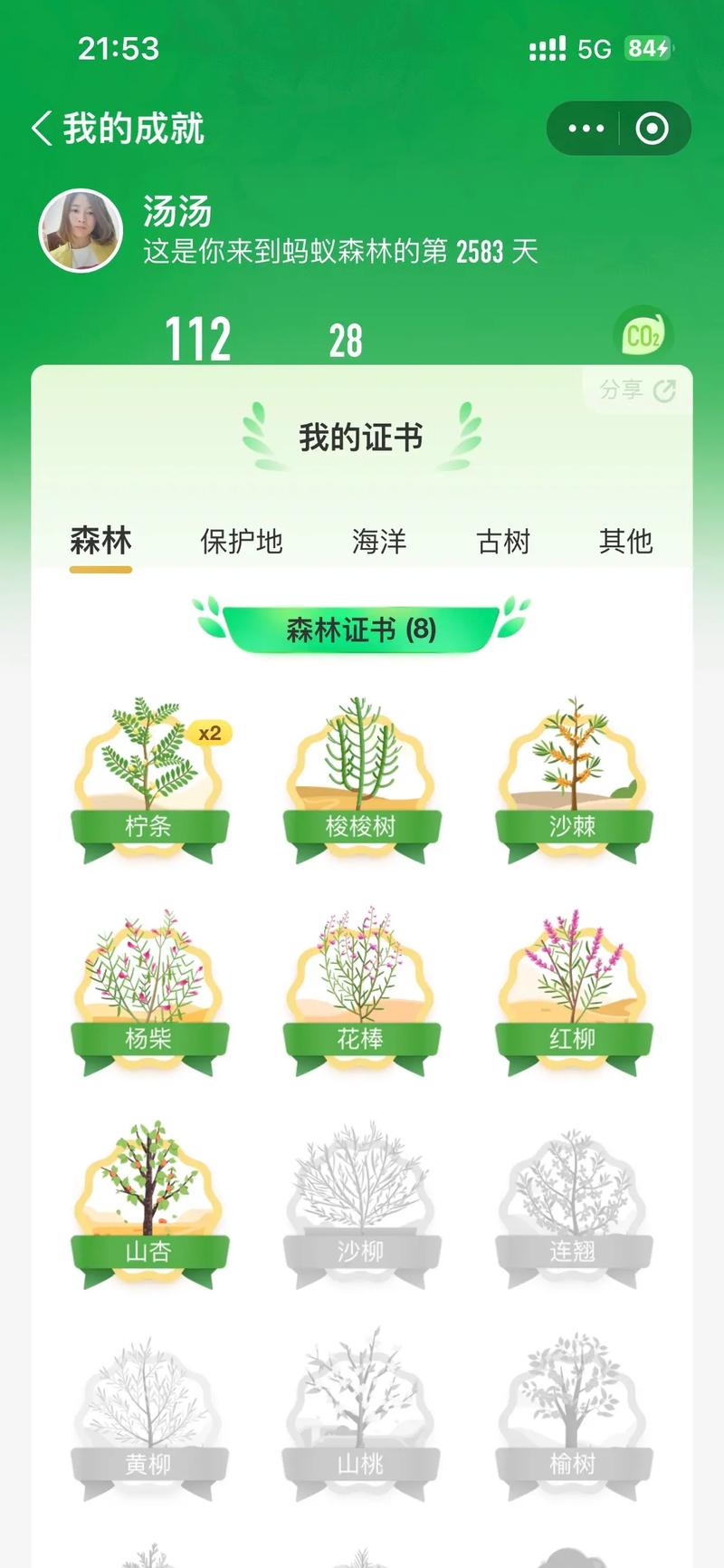 树朵朵种树赚钱安