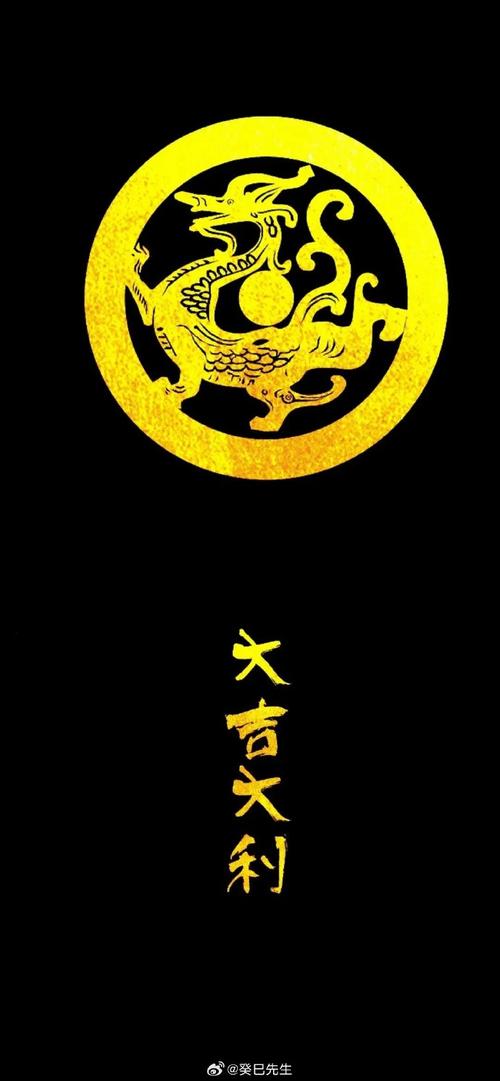 玄龟网手机版图标