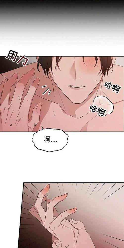 耽美中文网安卓版图标