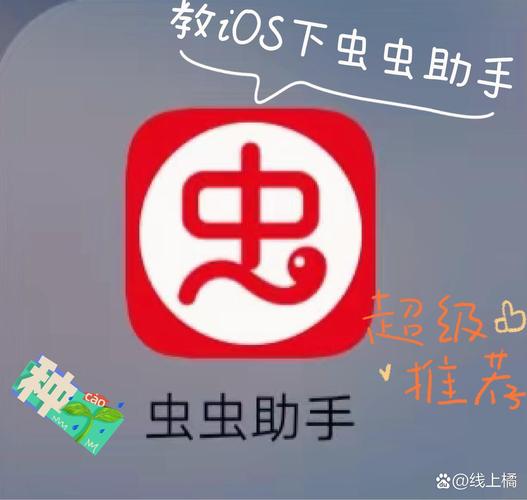 虫虫借钱