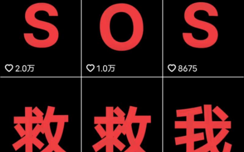 救救女孩2020图标