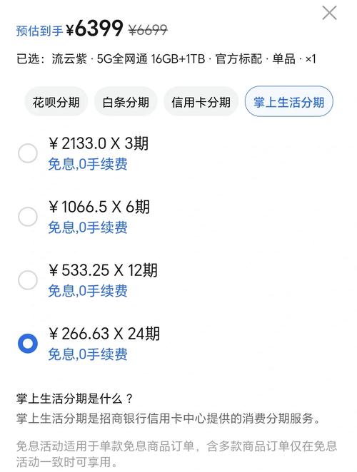 pay伴分期