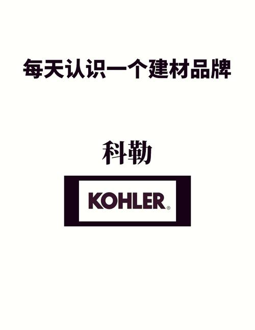 科勒优选v10图标