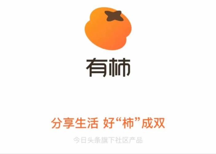 柿子网v140图标