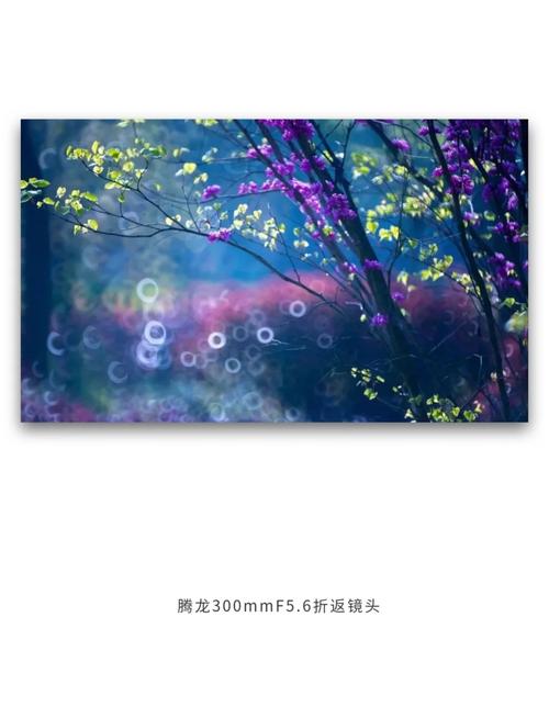 折返摄影