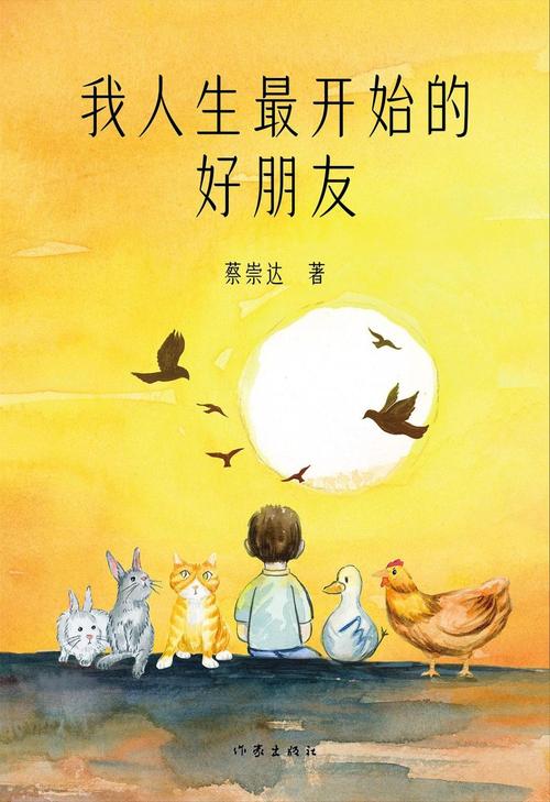 我的人生因视觉小