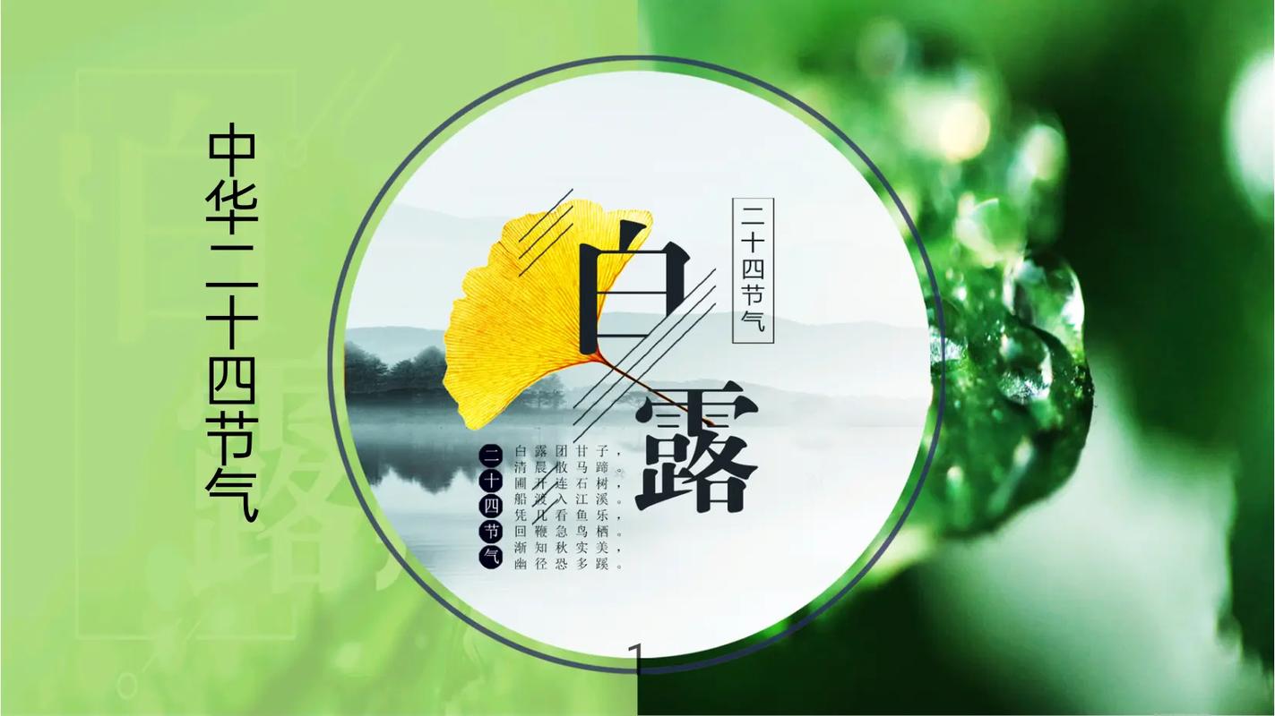 白露计步红包版