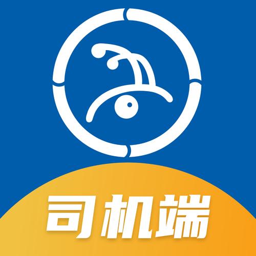 真正世界驾驶员