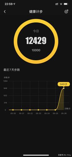 鲤小步计步