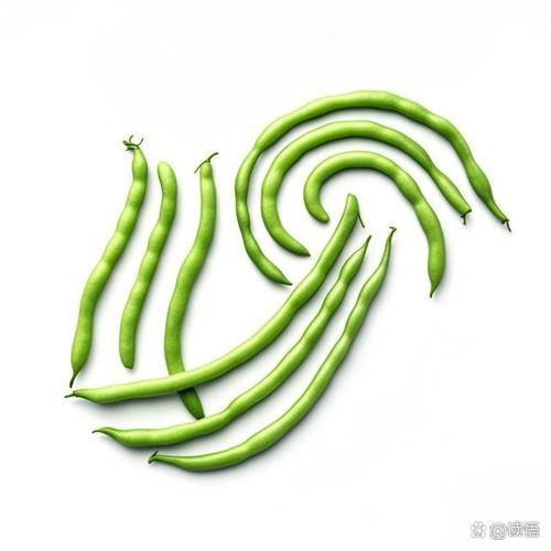 豆角短视频图标