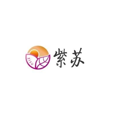 紫苏小说阅读网