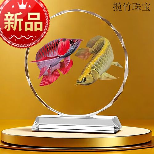 双龙鱼赚钱图标
