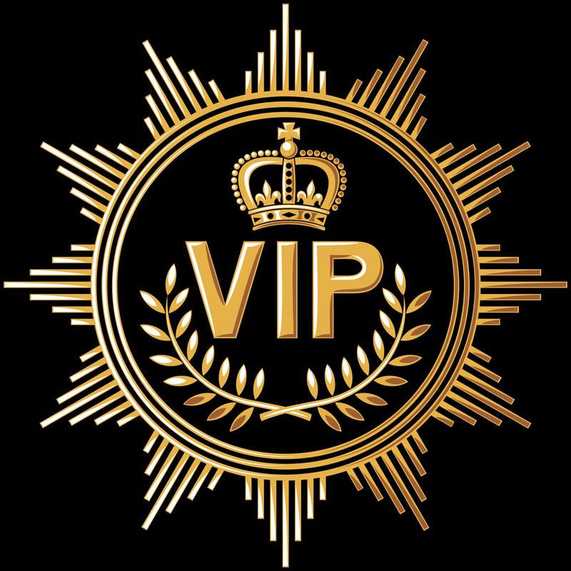 vip贷款截图