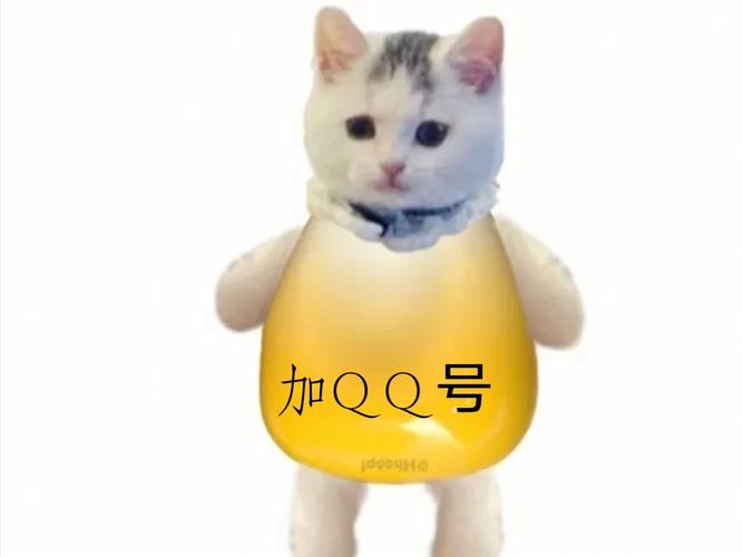 聊天让加qq是什么套路图标