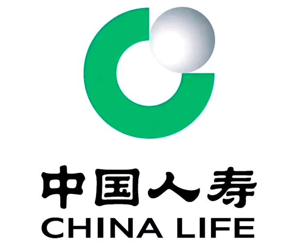 中国人寿查询个人保单app图标