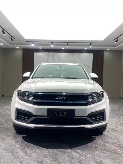 大迈是什么牌子截图