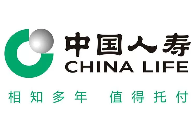 中国人寿电子保单下载图标