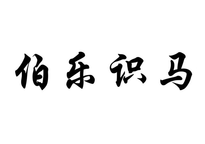 形容遇到伯乐的成语截图