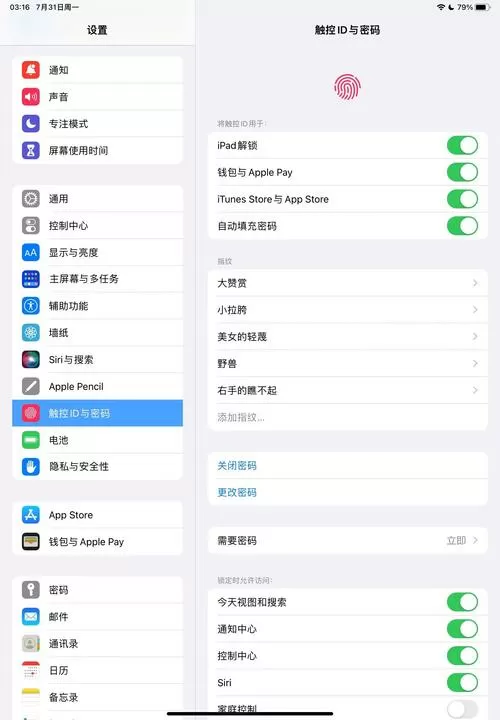 ipad有应用锁的功能吗