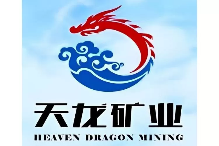 天龙官方网站首页入口图标