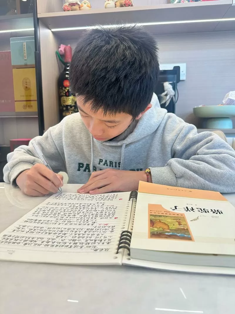 经典美文摘抄300字截图