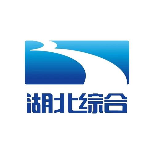 湖北综合信息服务平台截图