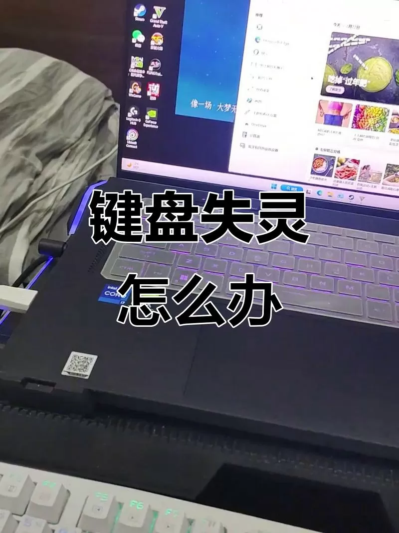 mac键盘失灵