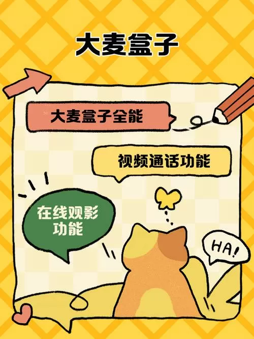 大麦盒子破解视频教程截图