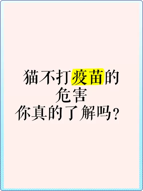 养猫不打疫苗对人有影响吗