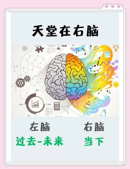 左手右手和左脑右脑截图