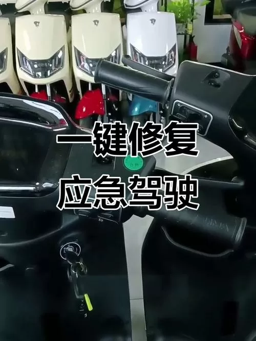 电动车修复键能乱按吗图标