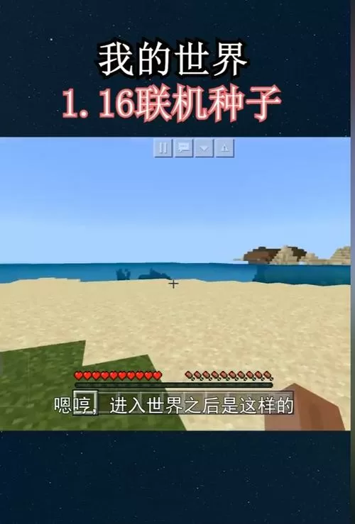 我的世界迪哥闯世界1.17联机截图