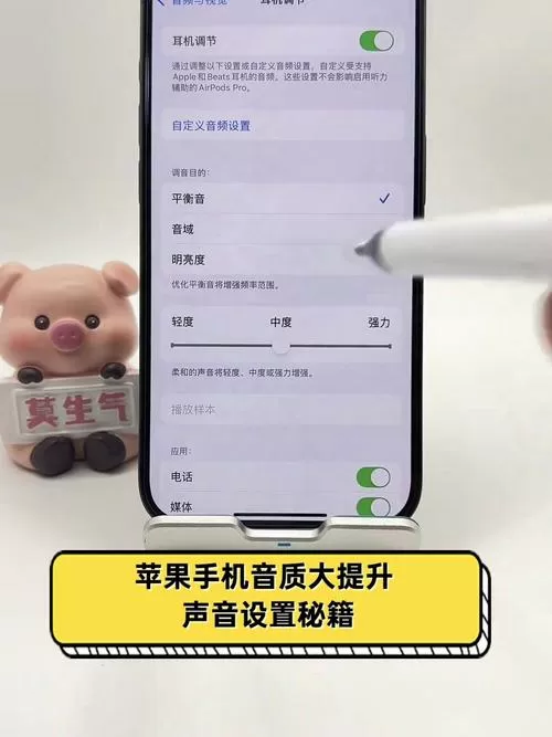 苹果手机声音怎么调出来图标