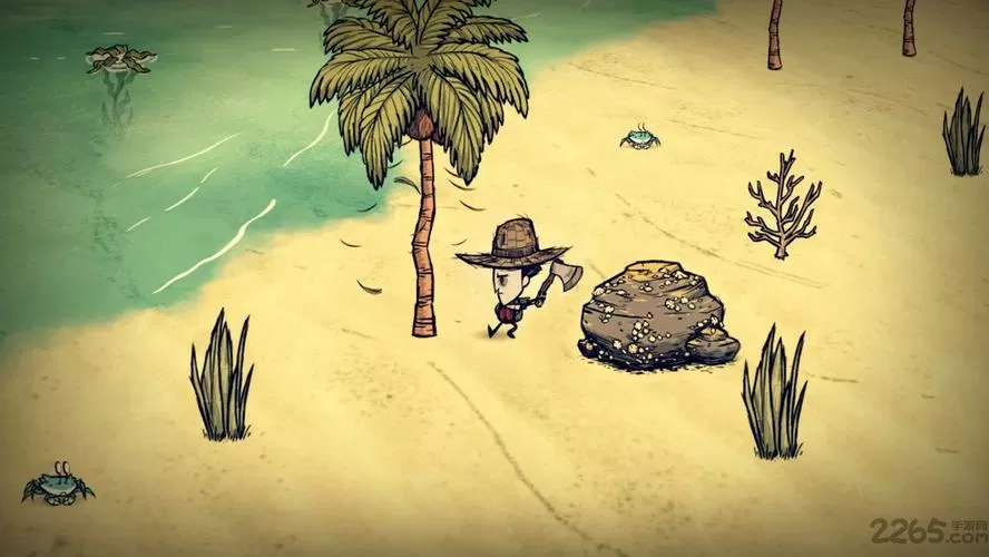 饥荒海滩整合版自带mod