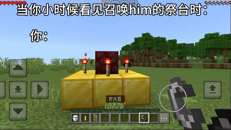 我的世界召唤him指令截图