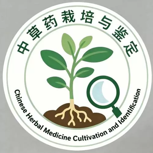 林下种植中药材图标