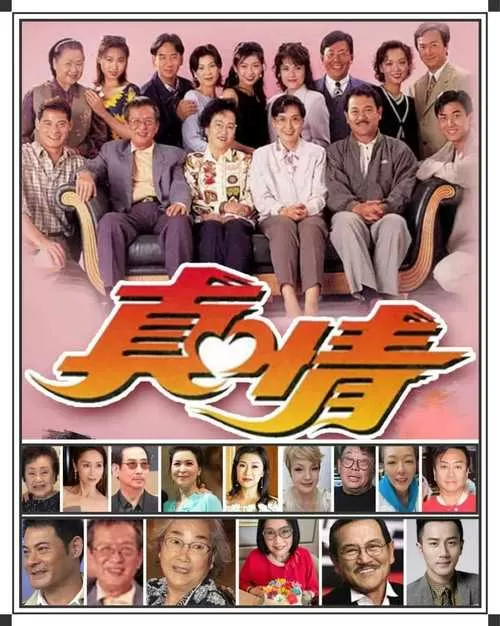 电视剧《真情》图标