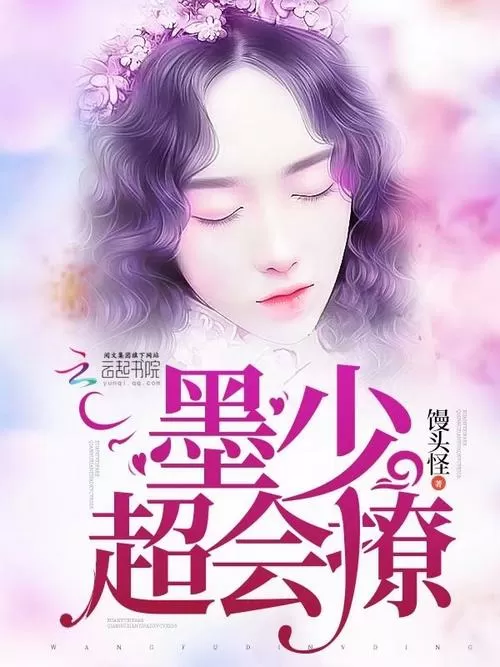 墨少的小说有哪些图标