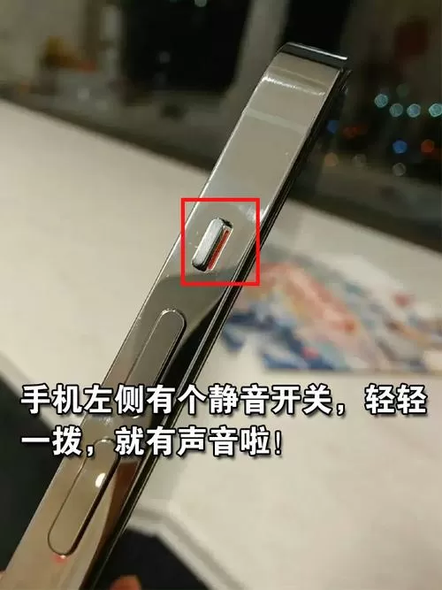 苹果静音键在哪里设置截图