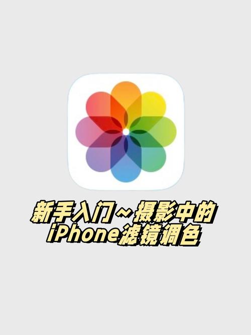 手机拍照颜色不好看怎么调图标
