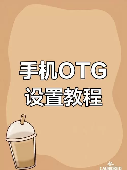 OTG在文件管理中叫什么名字截图