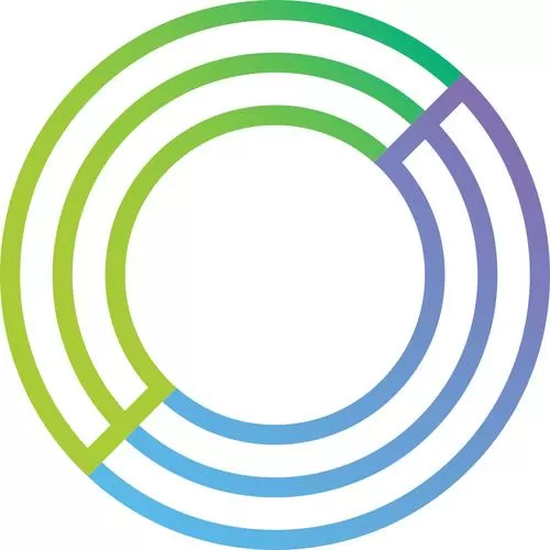 ring1辅助截图