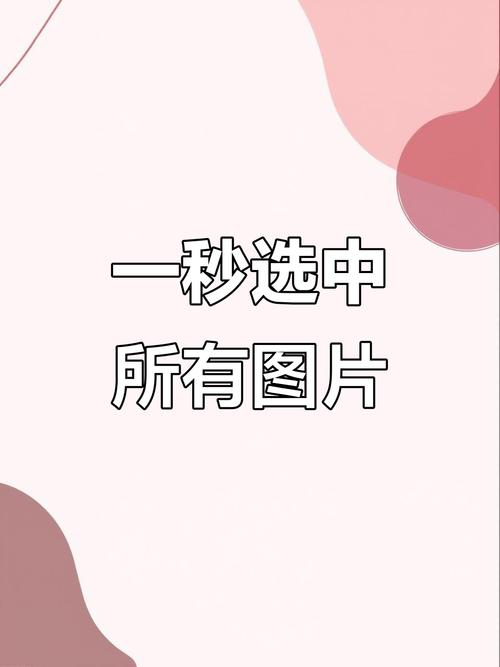 iphone相册怎么全选照片