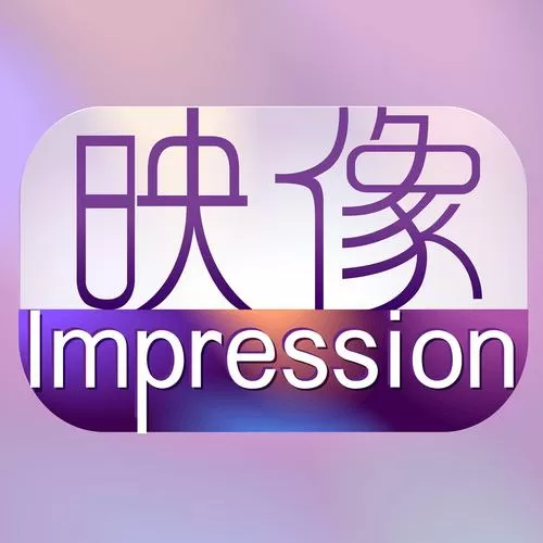 什么是映像图标